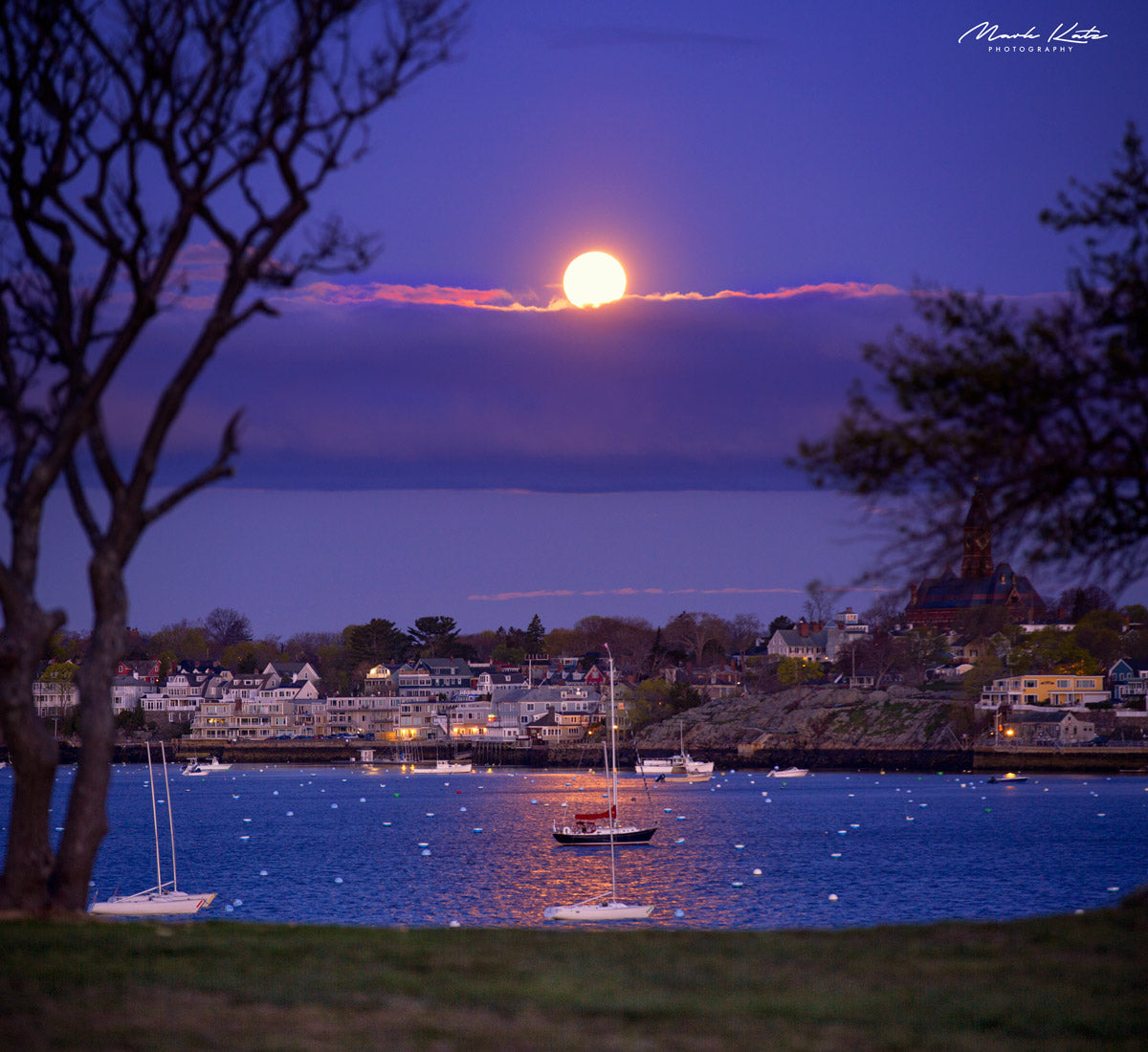 Introducing- Quarterly Updates – Mark Katz Photography
