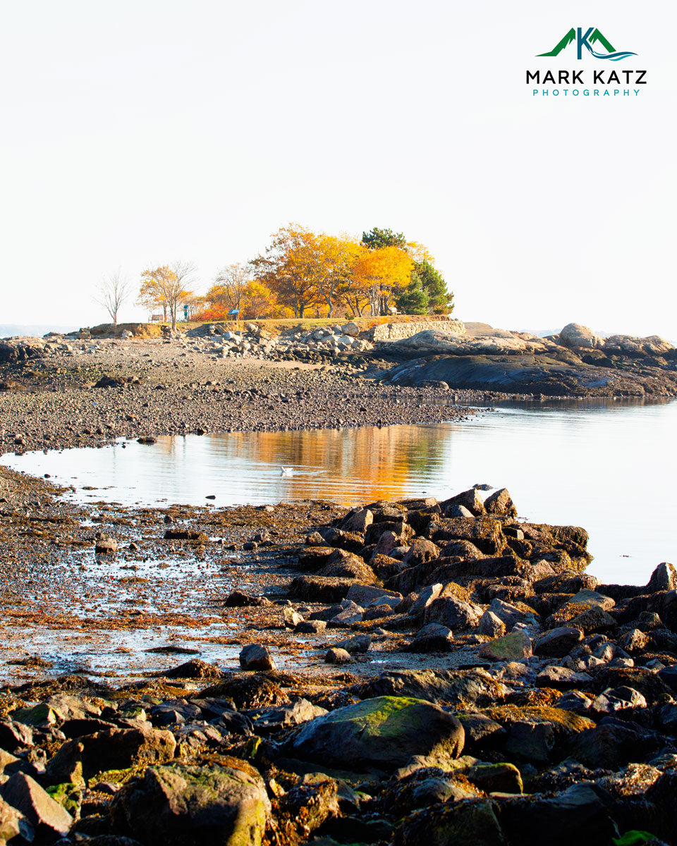 Fall 2024 Video – Mark Katz Photography